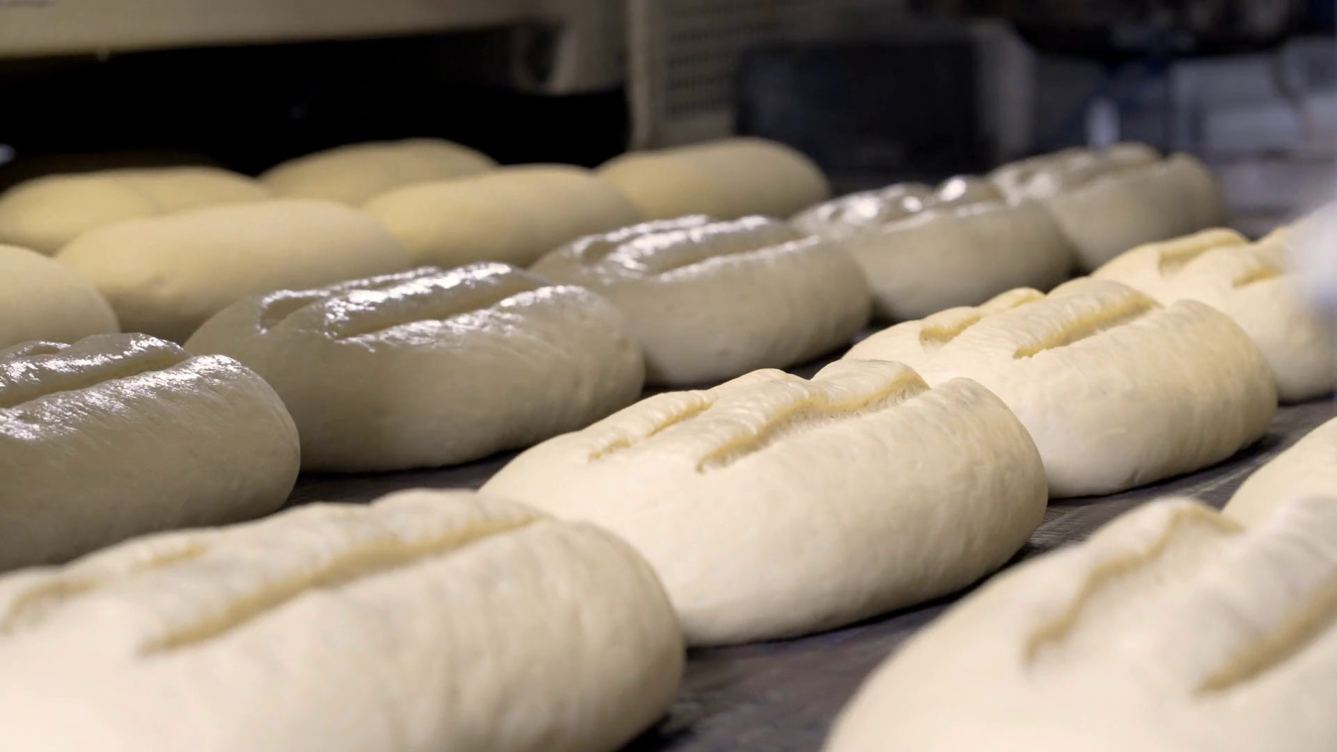 Making Loaf Of Bread In Bakery Loaf Of Bread Stock Footage SBV ...