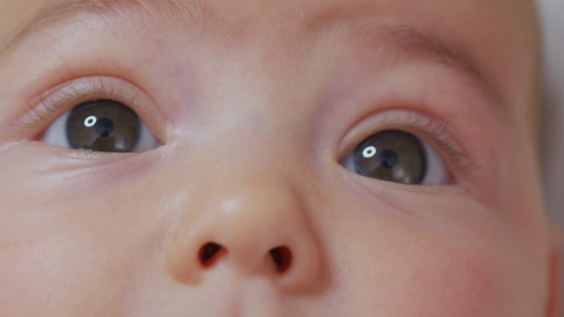 Newborn Closeup Of Eyes Observing World Stock Footage SBV-338768803 ...