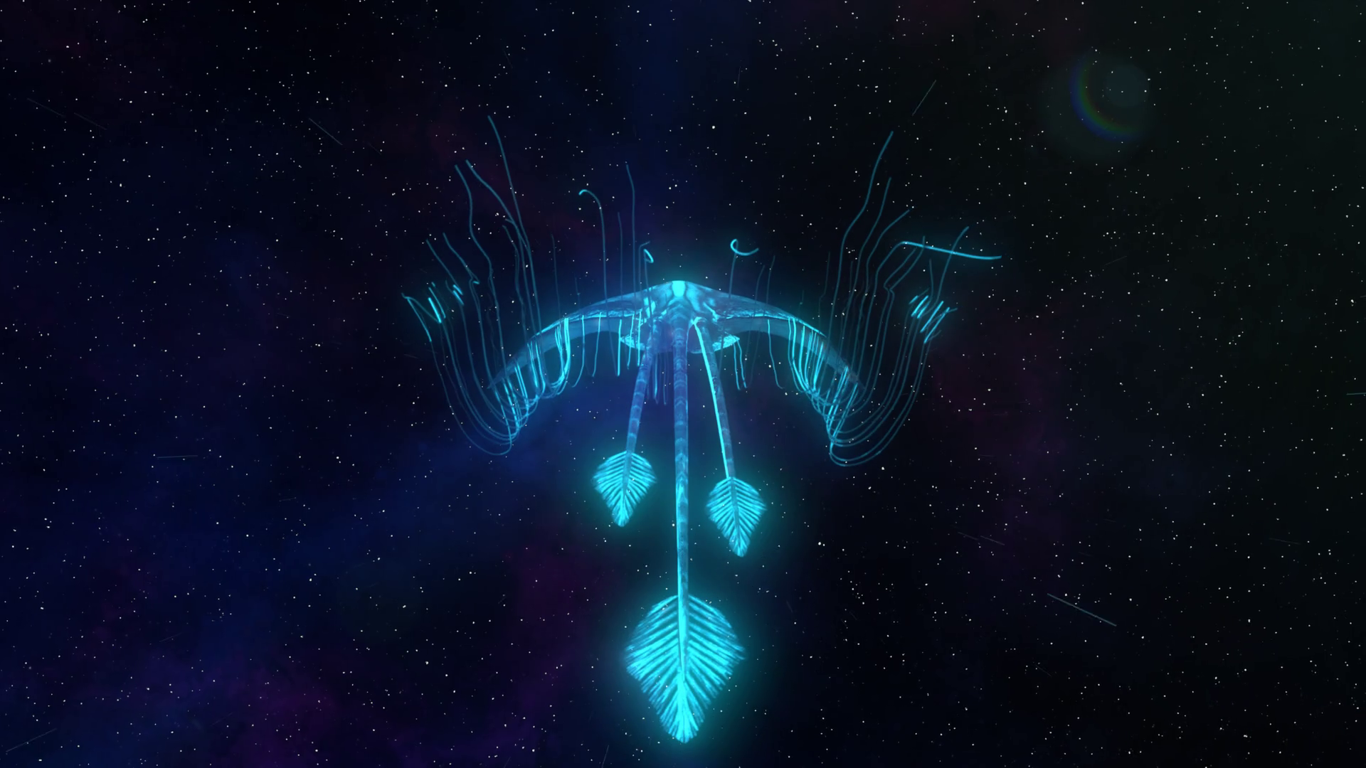 Abstact Sky Stingray Flying In Space 25 Fps Stock Motion Graphics SBV ...