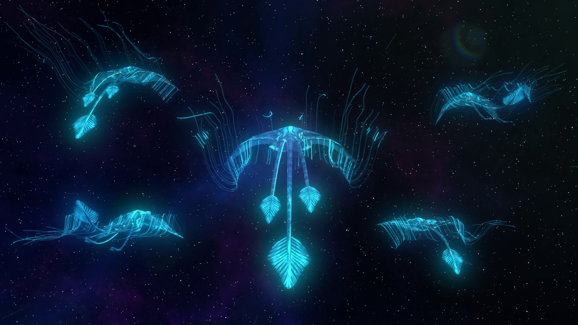 Abstact Sky Stingrays Flying In Space 25 Fps Stock Motion Graphics SBV ...