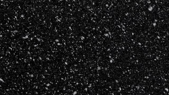 Snow Falling Effect Stock Footage: Royalty-Free Video Clips - Storyblocks