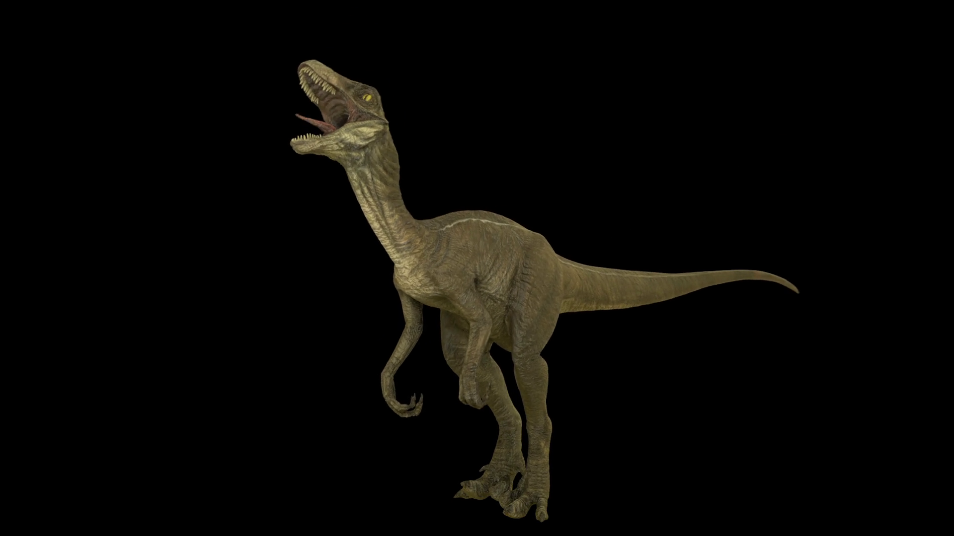Roaring Dinosaur Velociraptor Production Stock Motion Graphics SBV ...