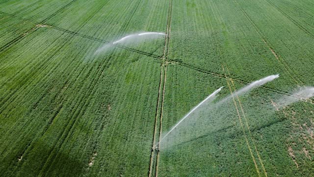 Soil Irrigation Stock Footage: Royalty-Free Video Clips - Storyblocks