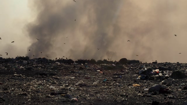 Dumping Trash Stock Footage: Royalty-Free Video Clips - Storyblocks
