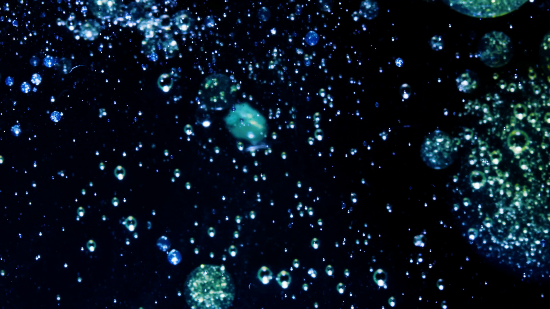 Oxygen Bubbles Micro Life Forms Are Born In Stock Footage SBV-352254026 ...