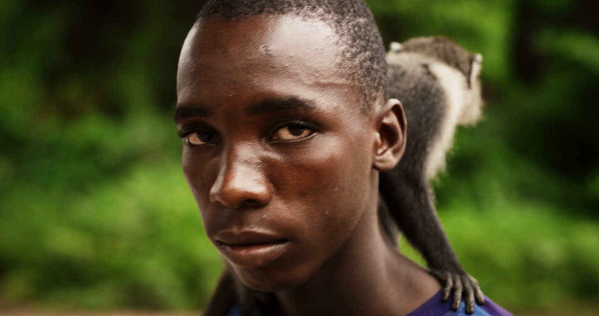 K Portrait Of African Man With Monkey Stock Footage SBV-348447593 ...