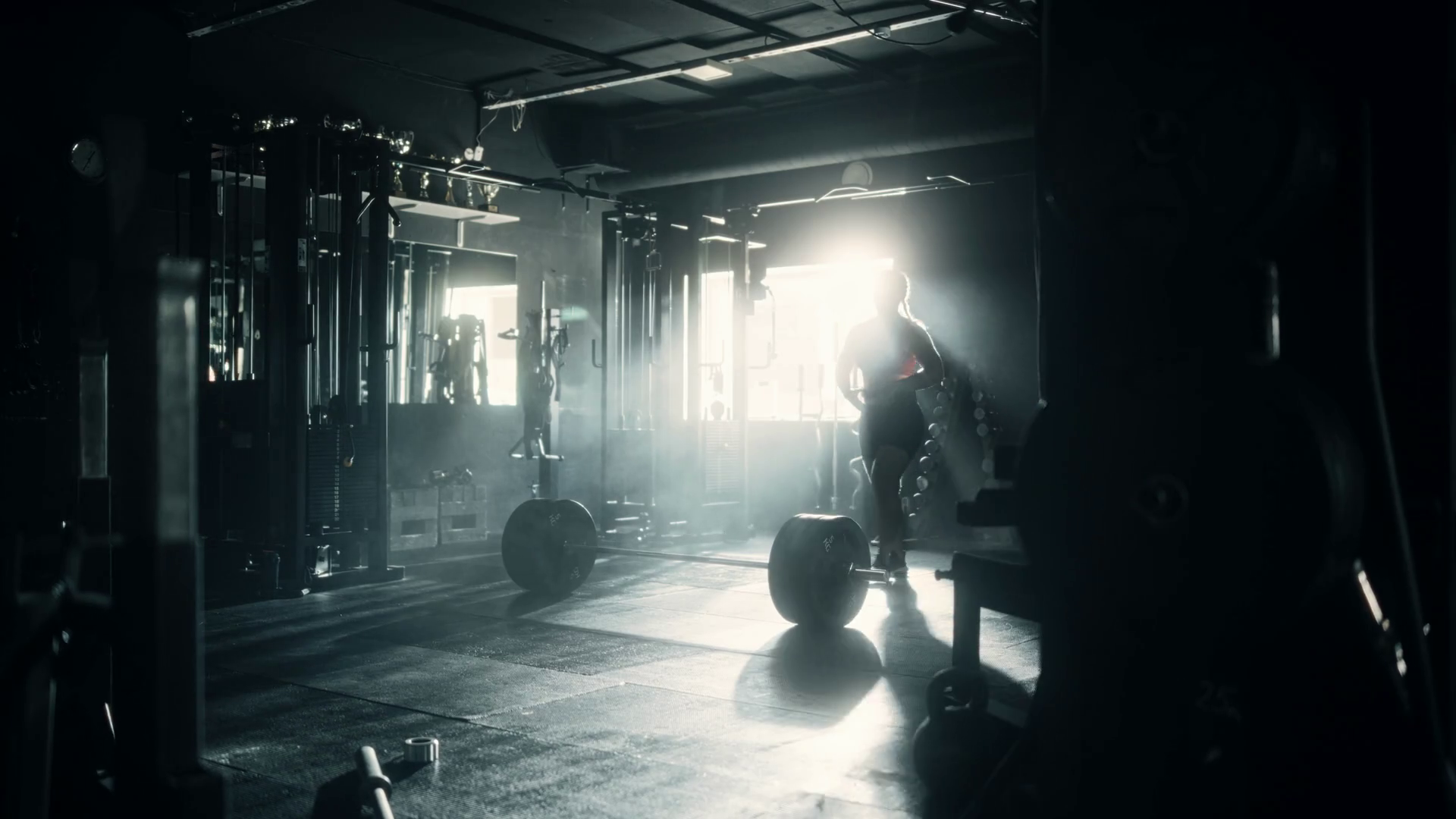 Professional Female Powerlifter Lifting Stock Footage SBV-348454371 ...