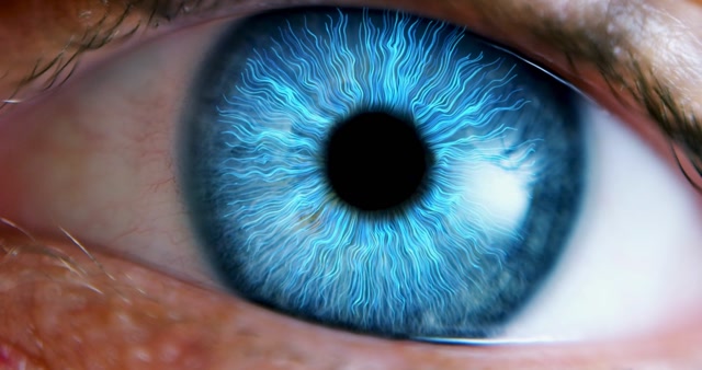 Eyeball Animation Stock Footage: Royalty-Free Video Clips - Storyblocks