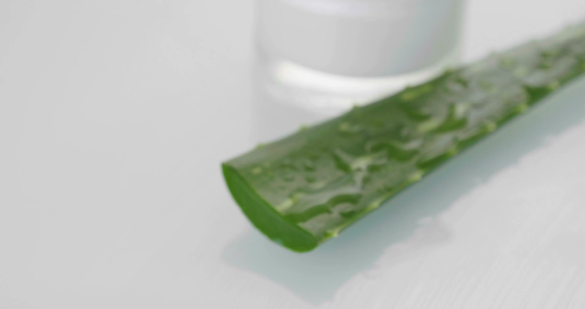 Medical Aloe Vera Plant Stock Footage SBV-348617463 - Storyblocks