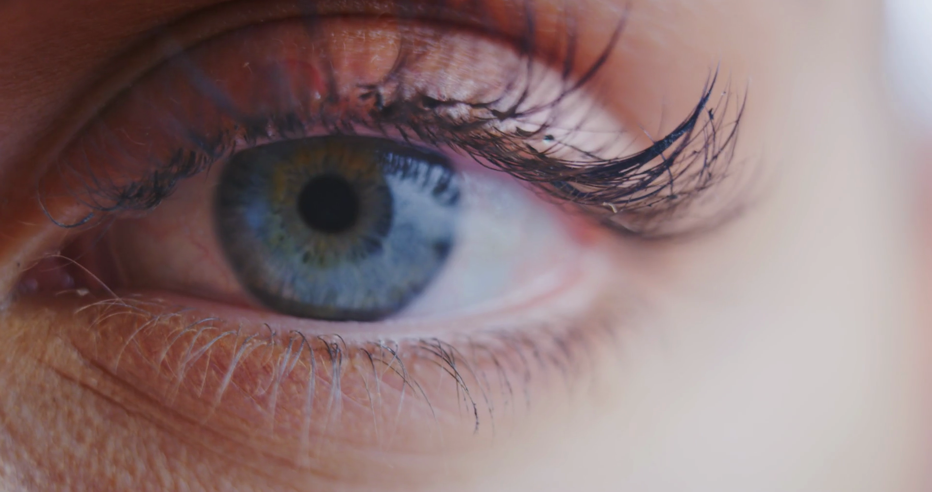 Slow Motion Macro Close Up Of Female Blue Stock Footage SBV-348617658 ...