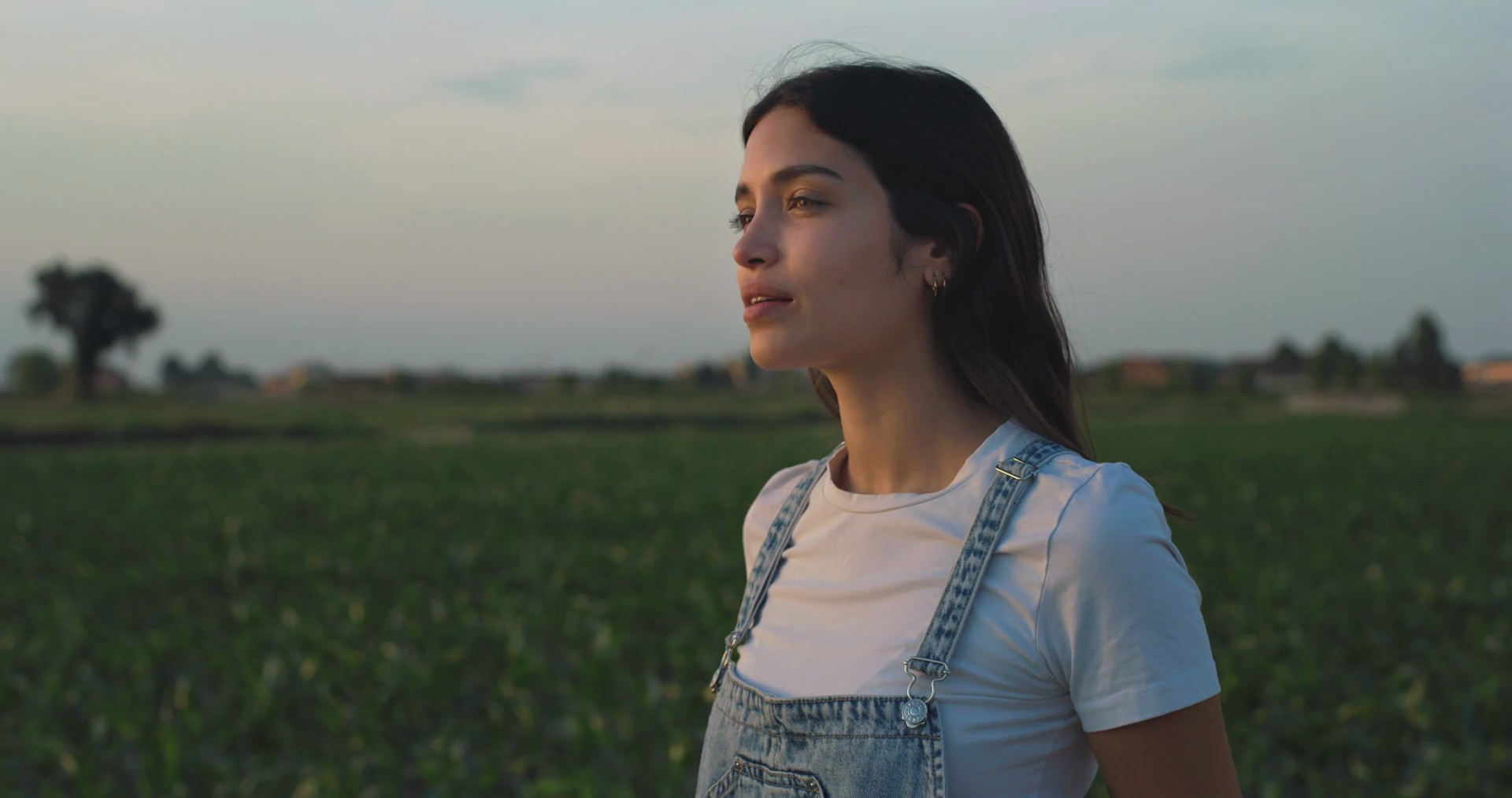 Cinematic Authentic Shot Of Carefree Happy Stock Footage SBV-348525059 ...