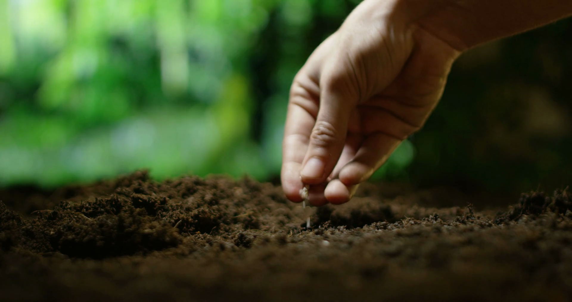 A Young Beautiful Hand Touching Soil In Stock Footage SBV-348911581 ...