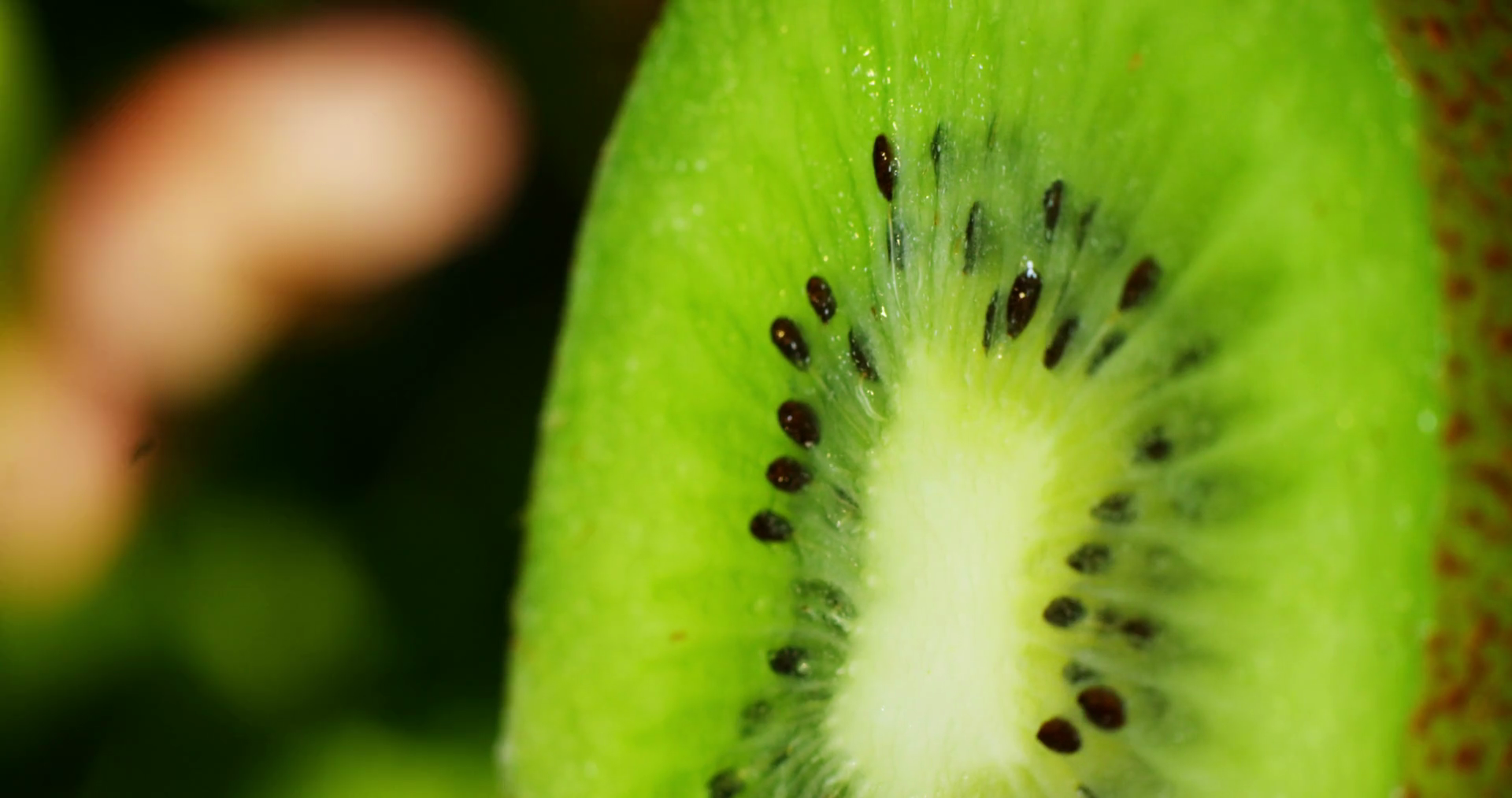Very Close Detail Of Fresh Kiwi Fruit Macro Stock Footage SBV-348700285 ...