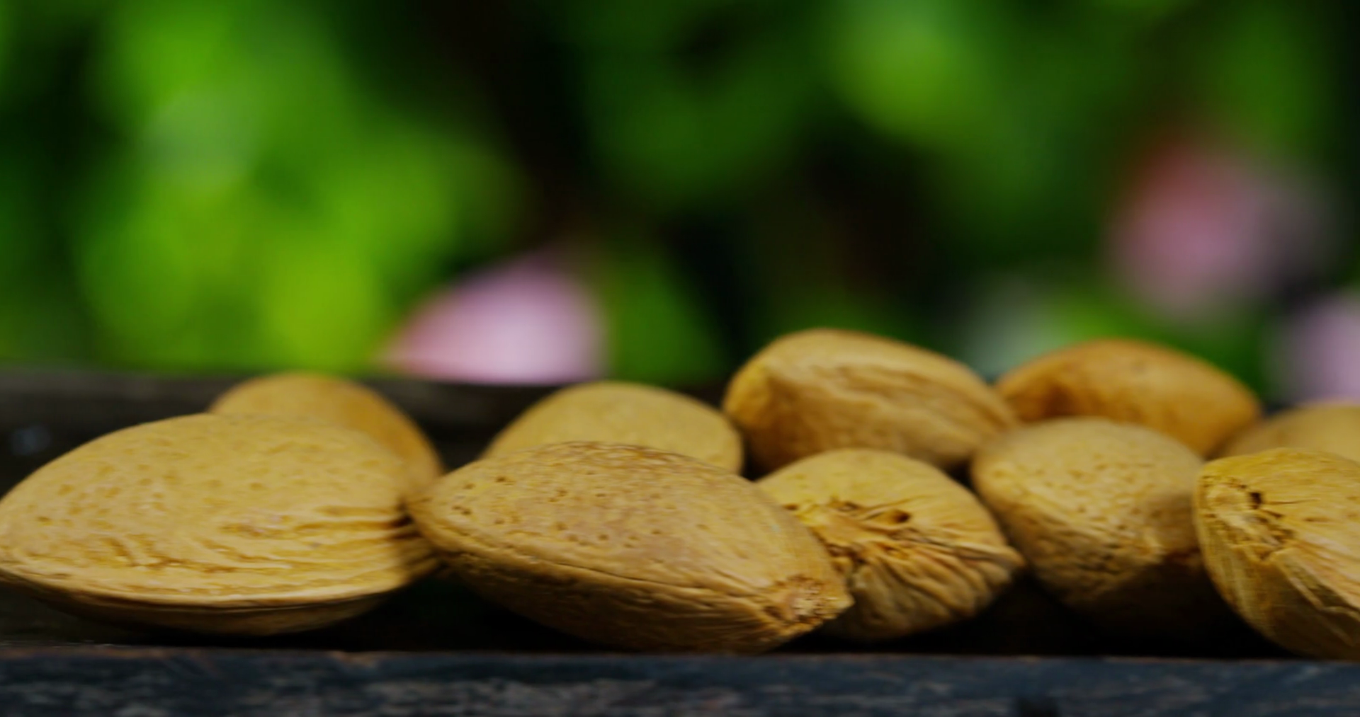 Close Up Macro Of Almond Great Result Stock Footage SBV-348700351 ...