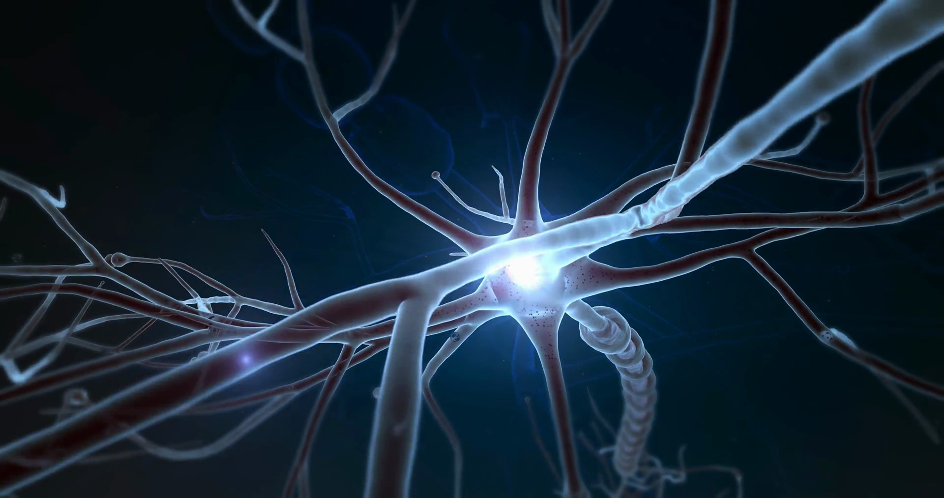 Slow Motion Macro Of Micro Hi Tech Neurons Stock Footage SBV-348540506 ...