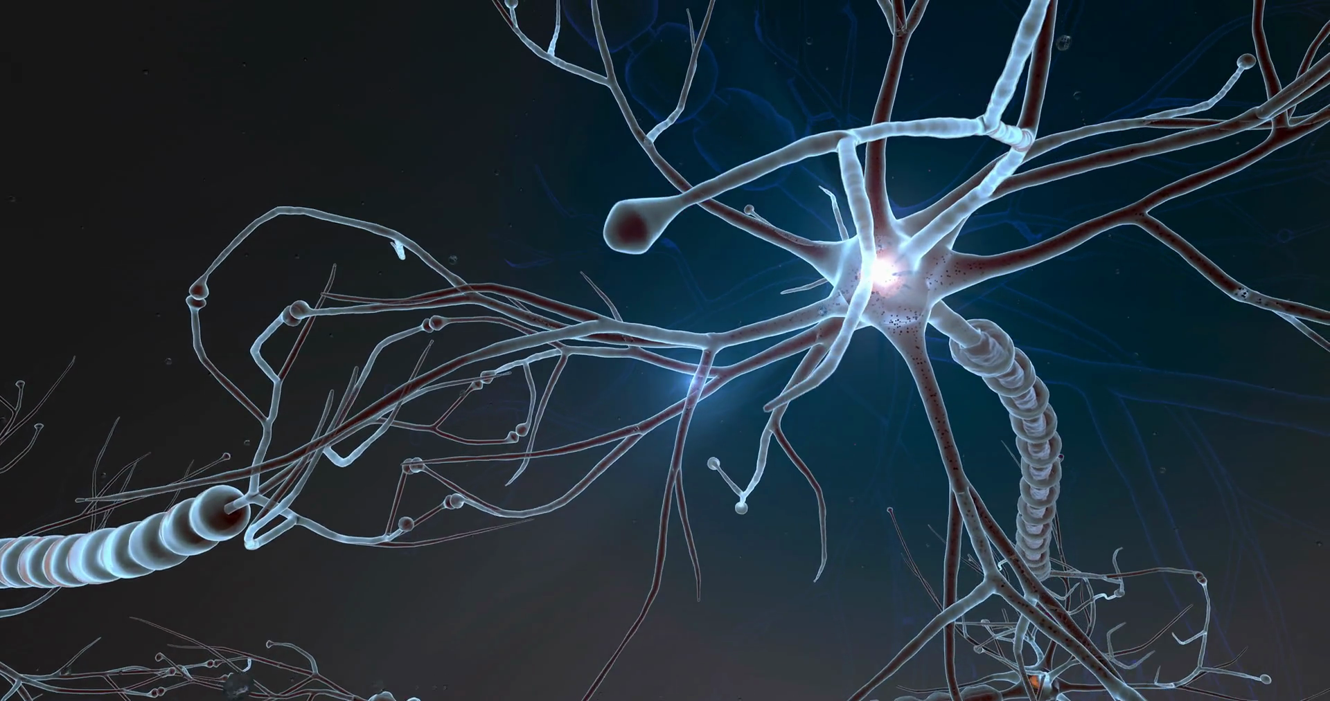 Slow Motion Macro Of Micro Hi Tech Neurons Stock Footage SBV-348540515 ...