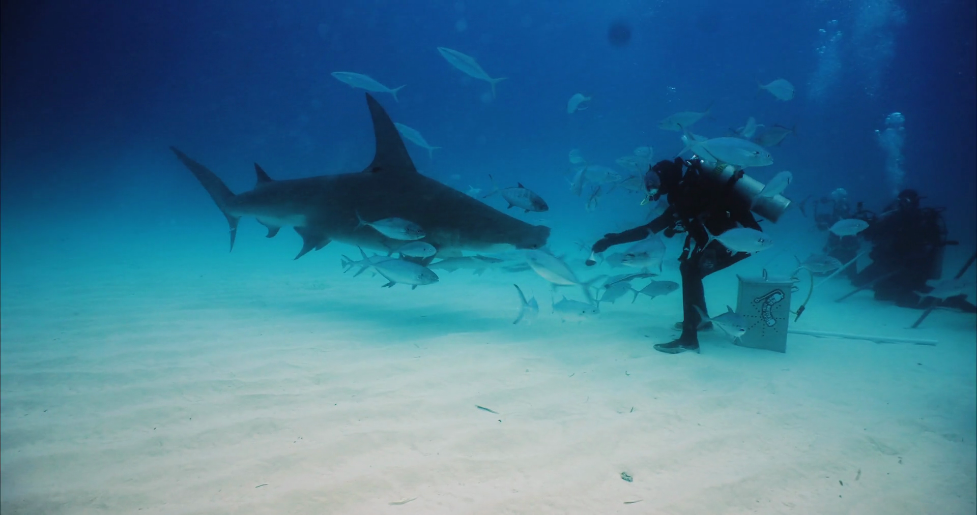 Underwater Shooting Of Expert Divers Take Stock Footage SBV-348610999 ...