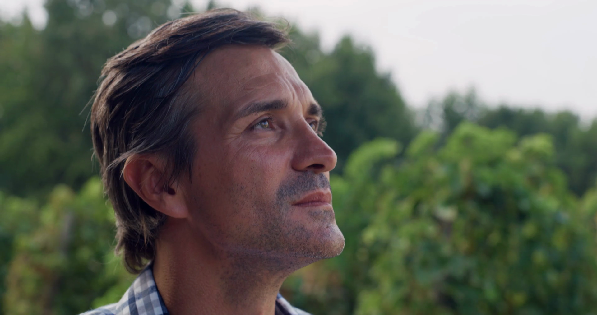 Man Smiling Looking Around In Green Vineyard Stock Footage SBV ...