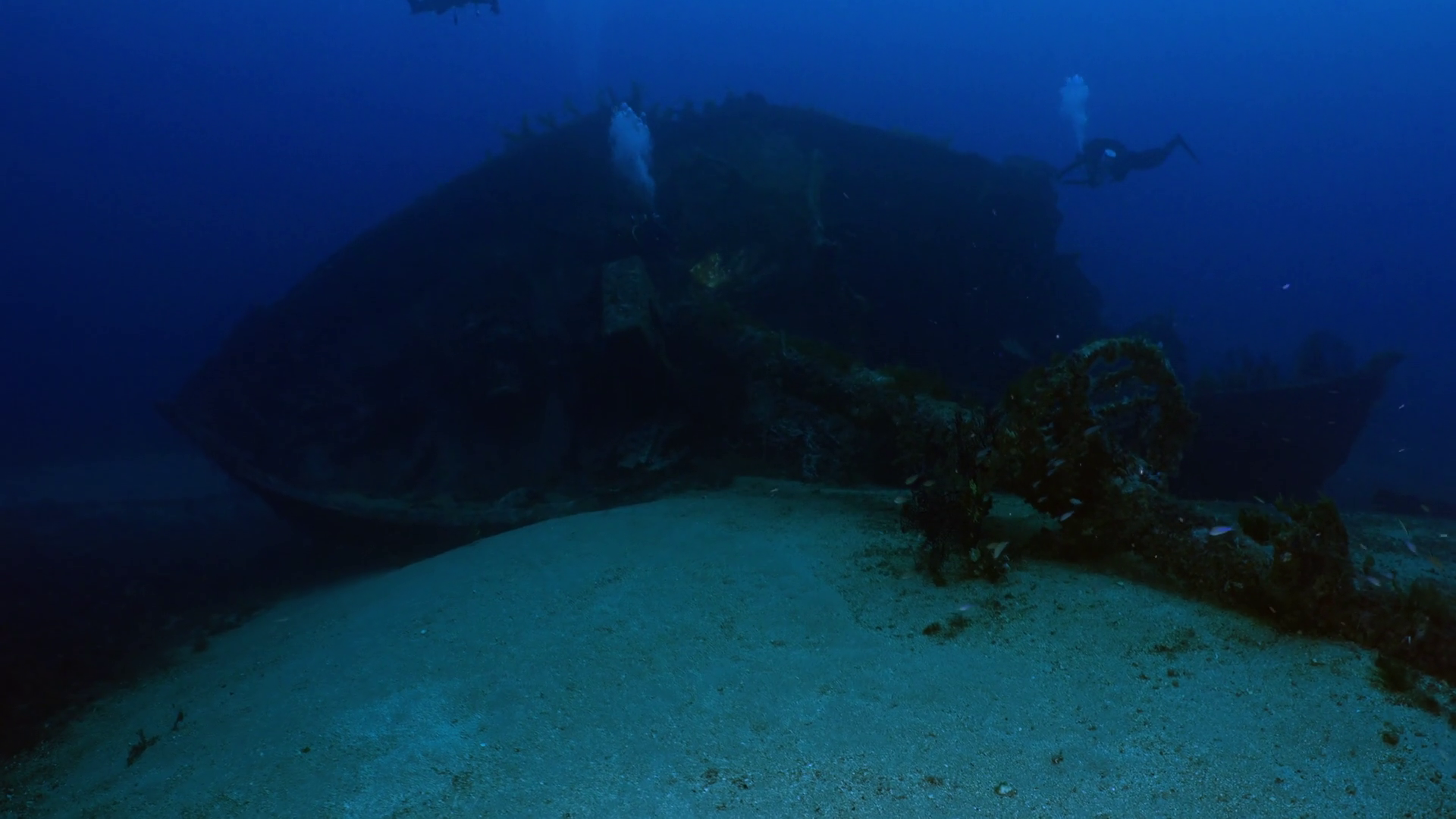 Dive Into Iconic Wreck Of Sagona Known Le Stock Footage SBV-352674260 ...