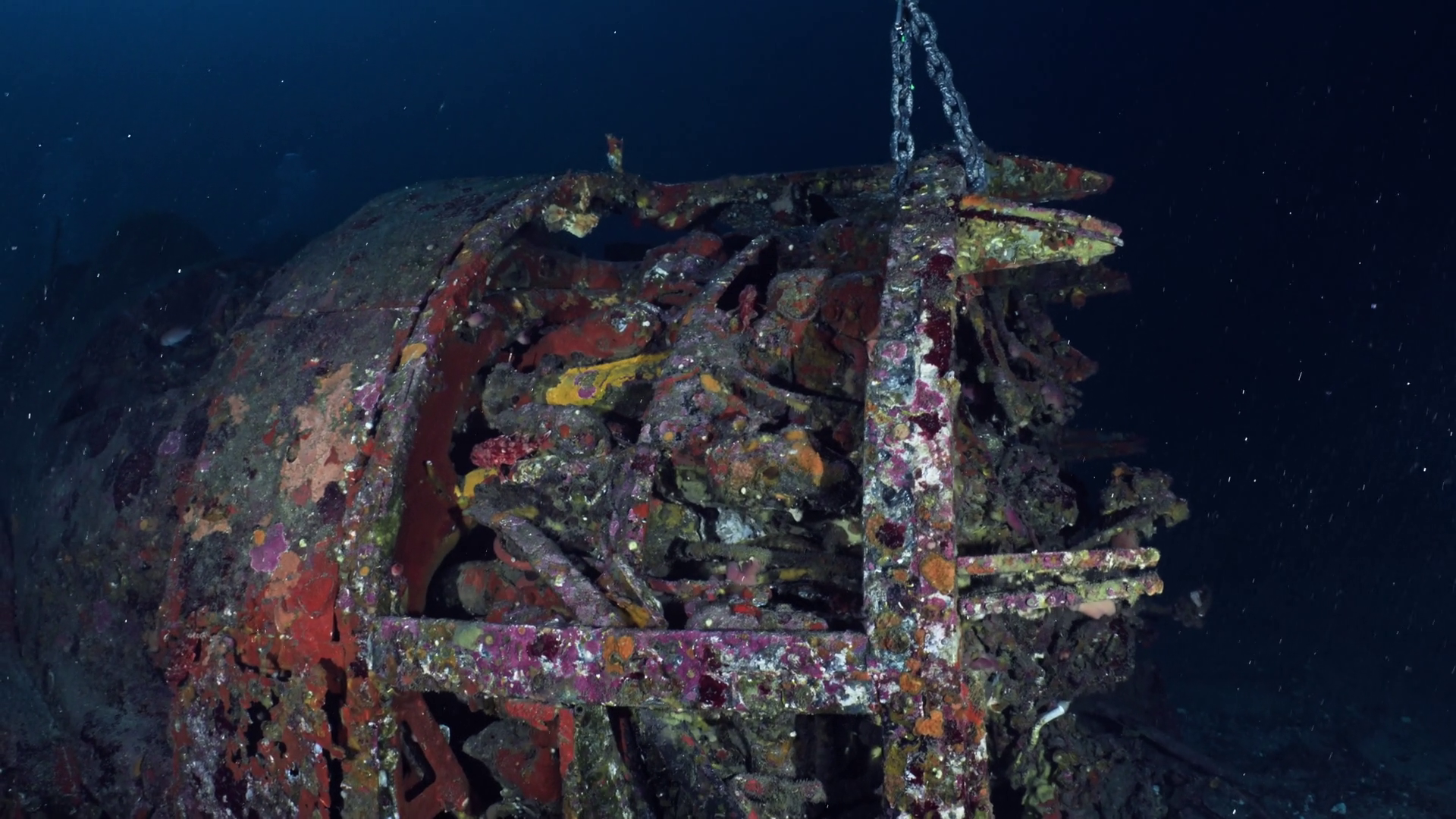 Diving On Wreck Of Hellcat Is American-built Stock Footage SBV ...