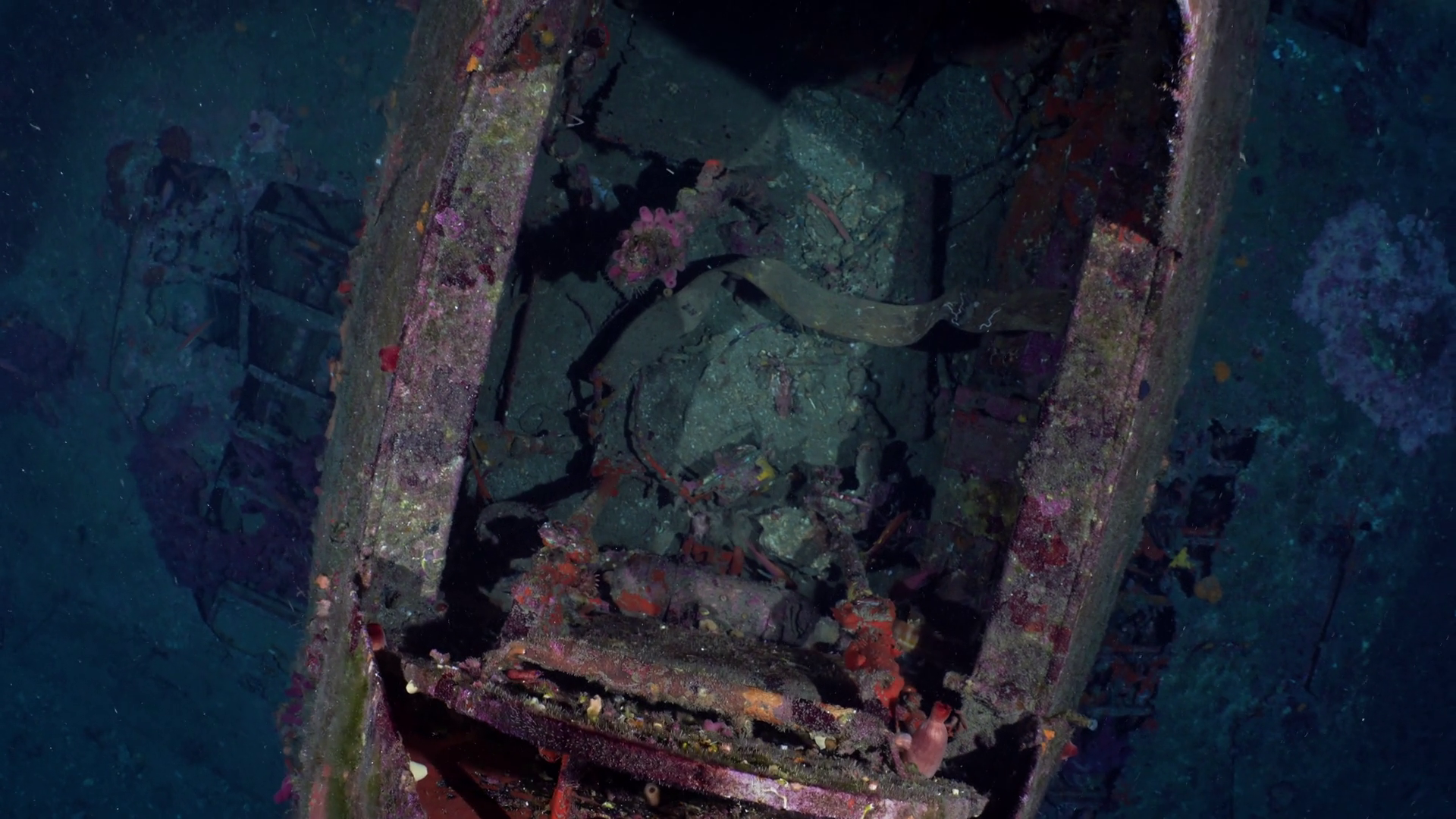 Diving On Wreck Of Hellcat Is American-built Stock Footage SBV ...
