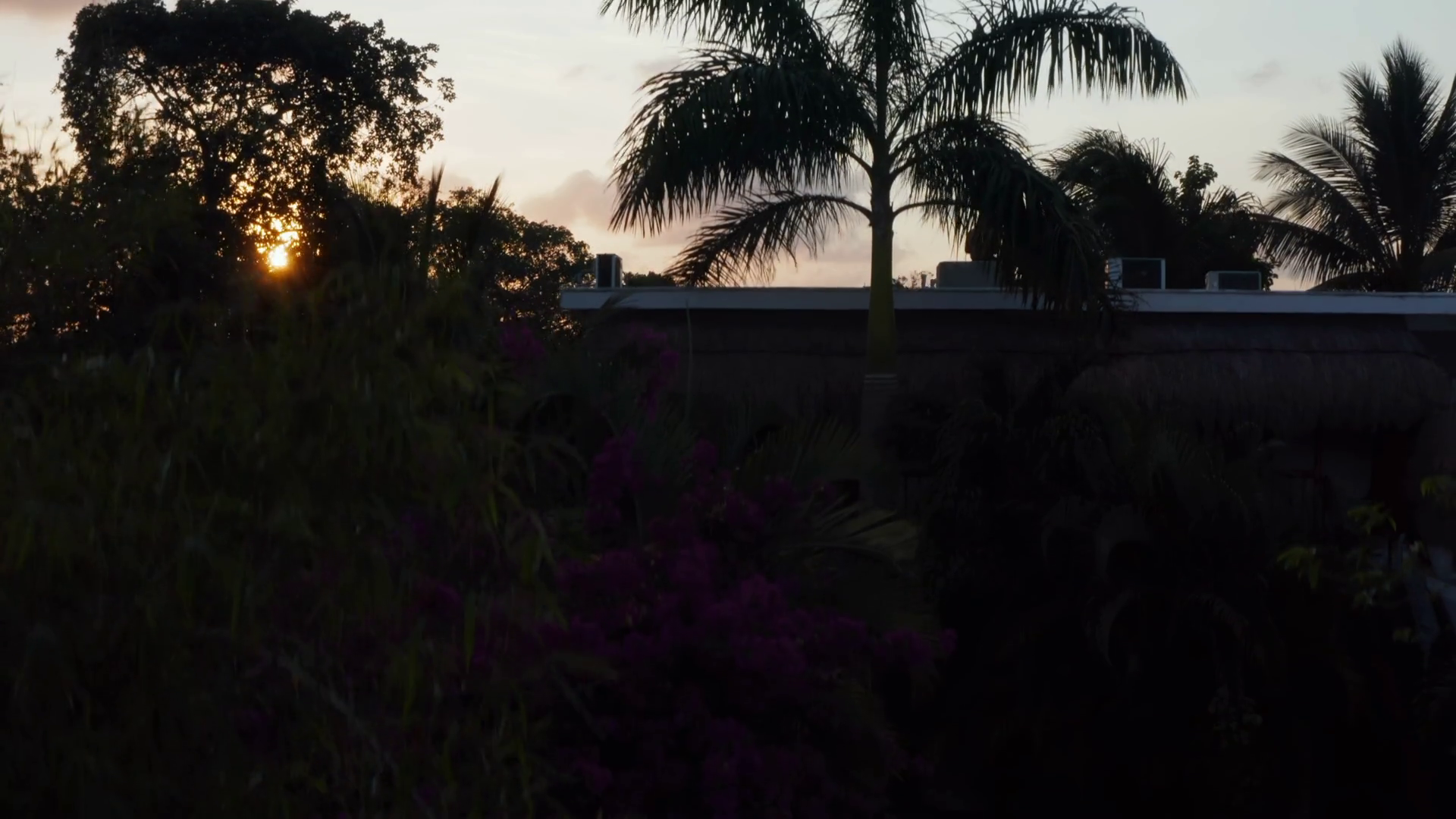 Aerial View Of City Greenery Spread Across Stock Footage SBV-347673807 ...