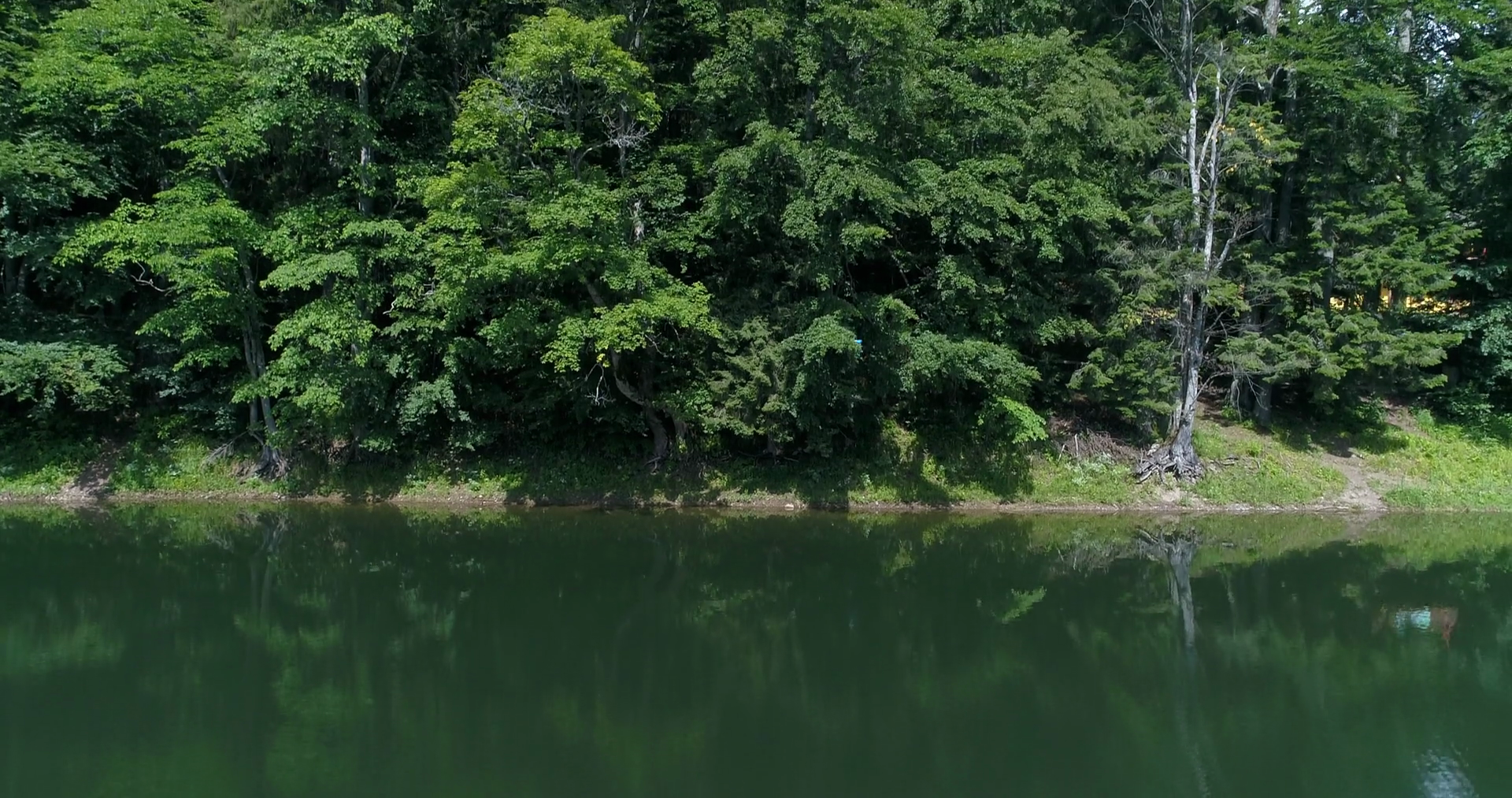 Aerial Shot Over Riverside Of Lake Stock Footage SBV-321695519 ...
