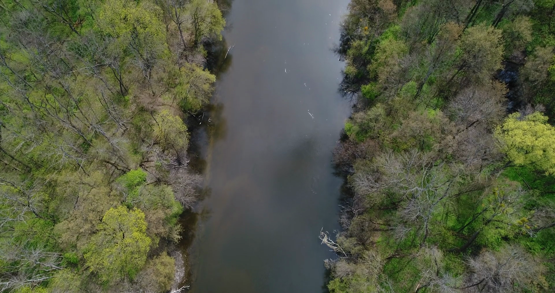 Overhead Aerial Of River With Clear Water Stock Footage SBV-320846013 ...