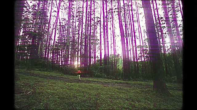 Vhs Style Filter Templates Royalty-Free - Storyblocks