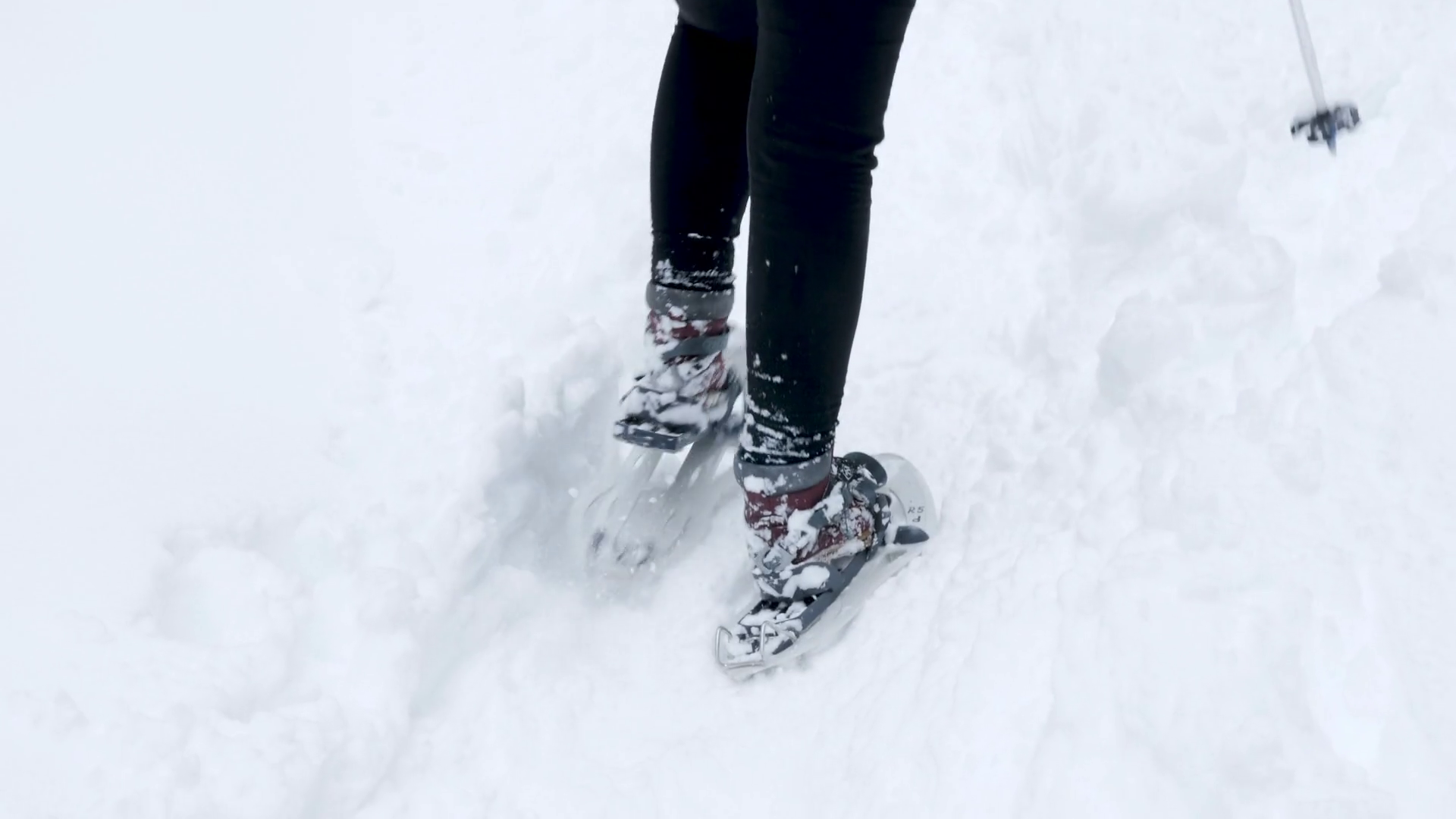 Close Up On Feet Walking In Snowshoeing Stock Footage SBV-322269853 ...