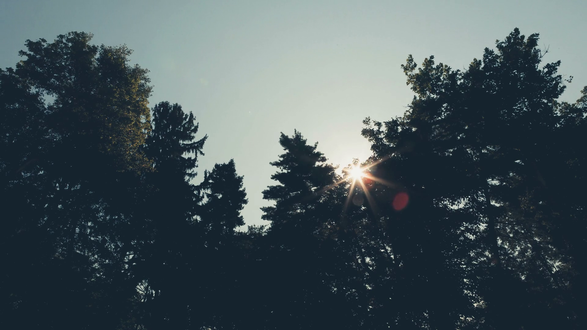 Timelapse Of Morning Sunrise In Beautiful Stock Footage SBV-319934390 ...