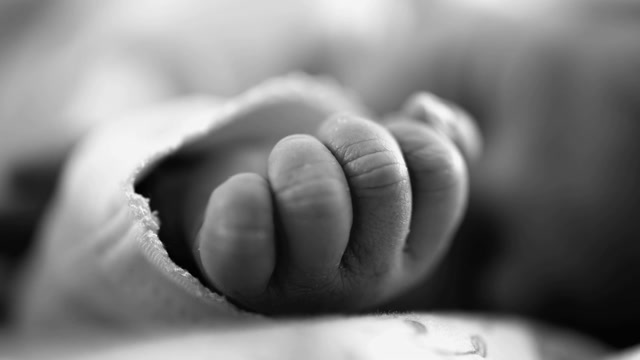 Early Life Stock Footage: Royalty-Free Video Clips - Storyblocks