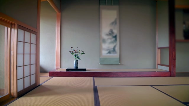 Arrangement Of The House Stock Footage: Royalty-Free Video Clips ...