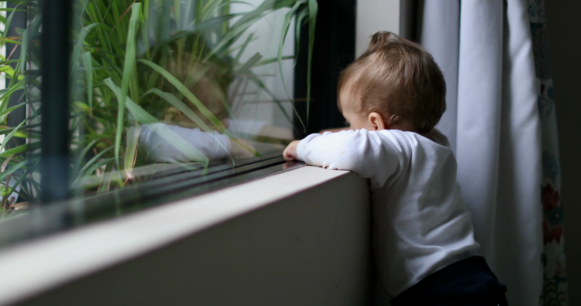 Baby Learning To Stand Leaning On Window Stock Footage SBV-348528172 ...