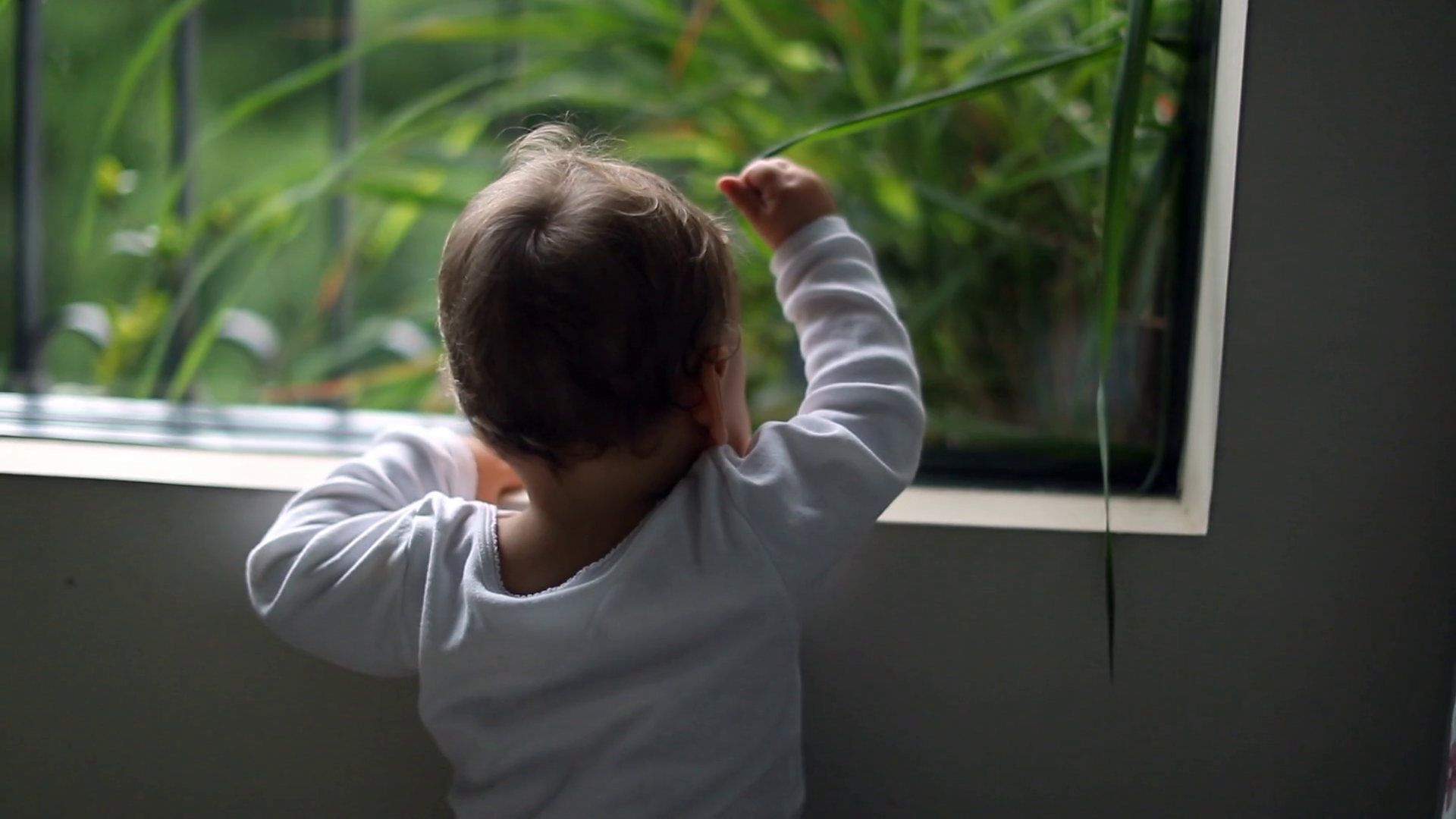Baby Standing Window Looking Outside Back Stock Footage SBV-348536620 ...