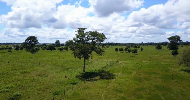 Open Spaces Stock Footage: Royalty-Free Video Clips - Storyblocks