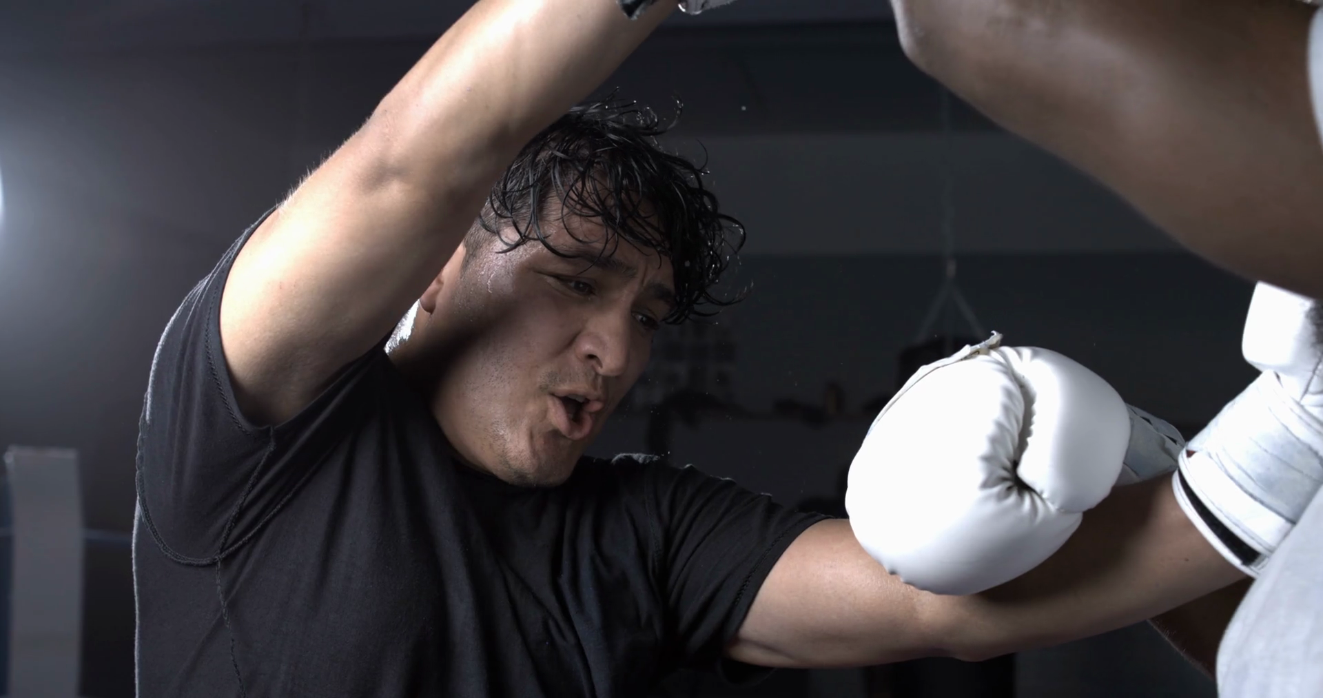 Aggressive Showdown At 800 Fps Rivals Engage Stock Footage SBV ...