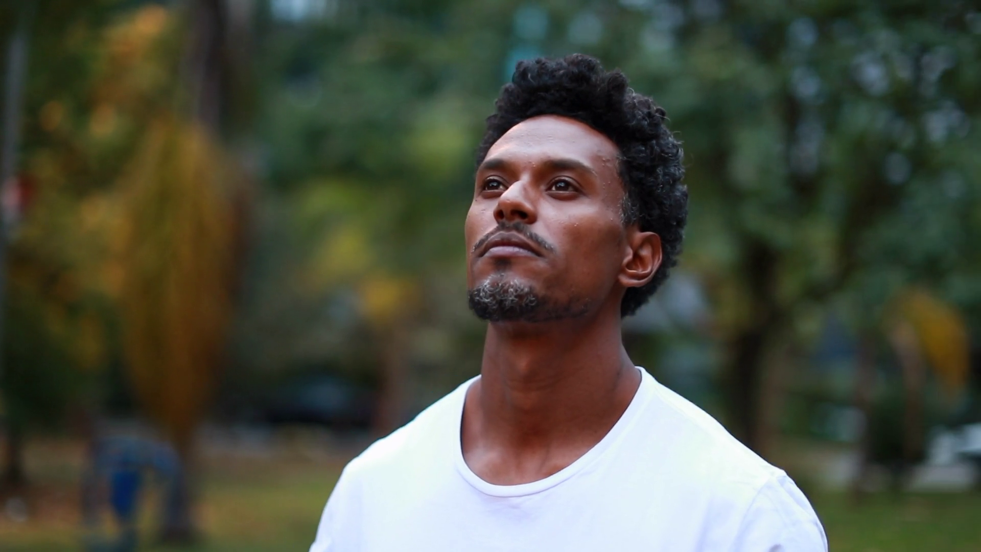 Black Guy Standing Outside In Nature Looking Stock Footage SBV ...