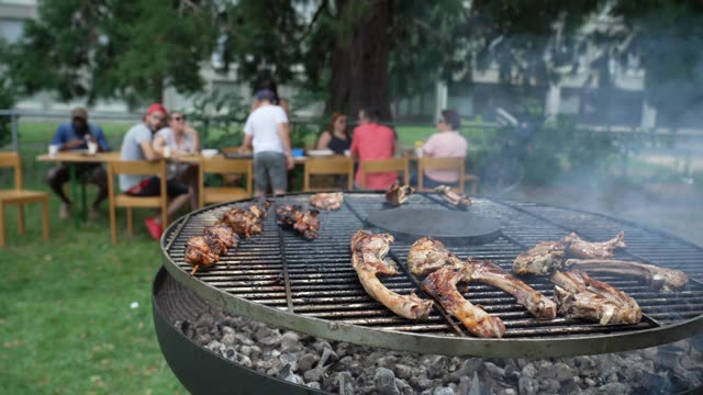 Barbeque Family Stock Footage: Royalty-Free Video Clips - Storyblocks