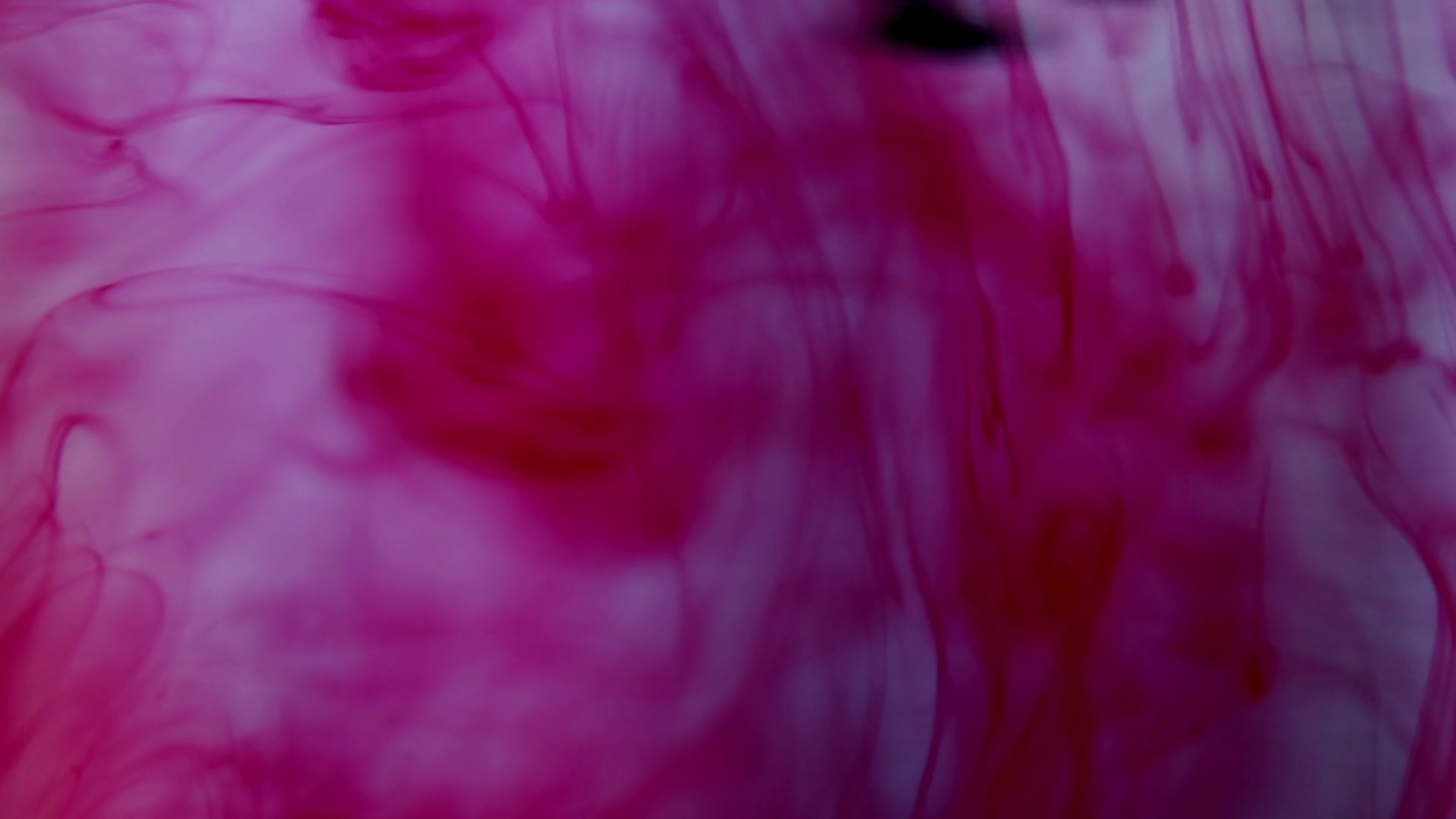 Black Ink Falling Inside Red Blood Stock Footage SBV-348475256 ...