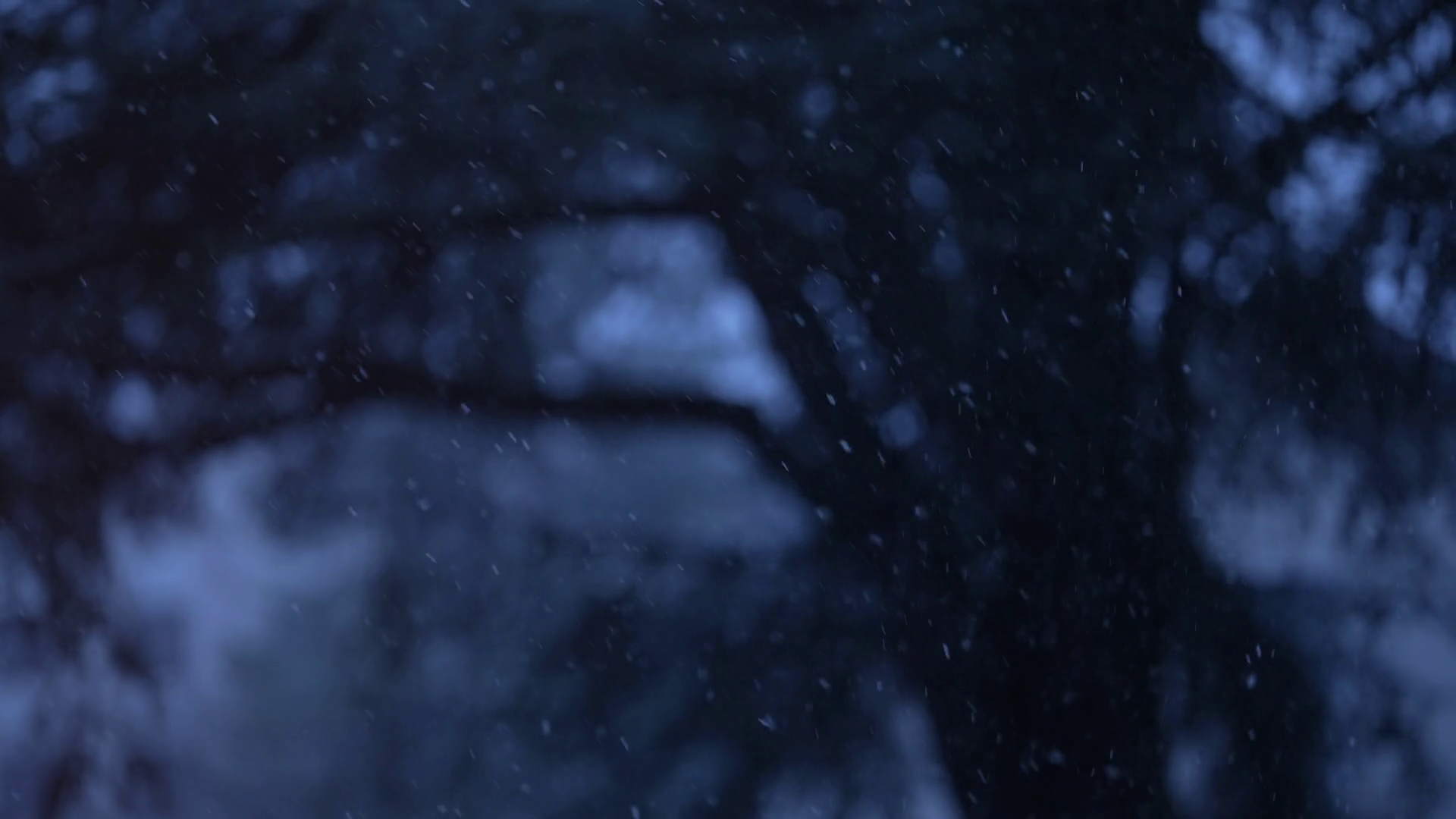 Blizzard Storm Falling Snow Closeup Of Stock Footage SBV-348684218 ...