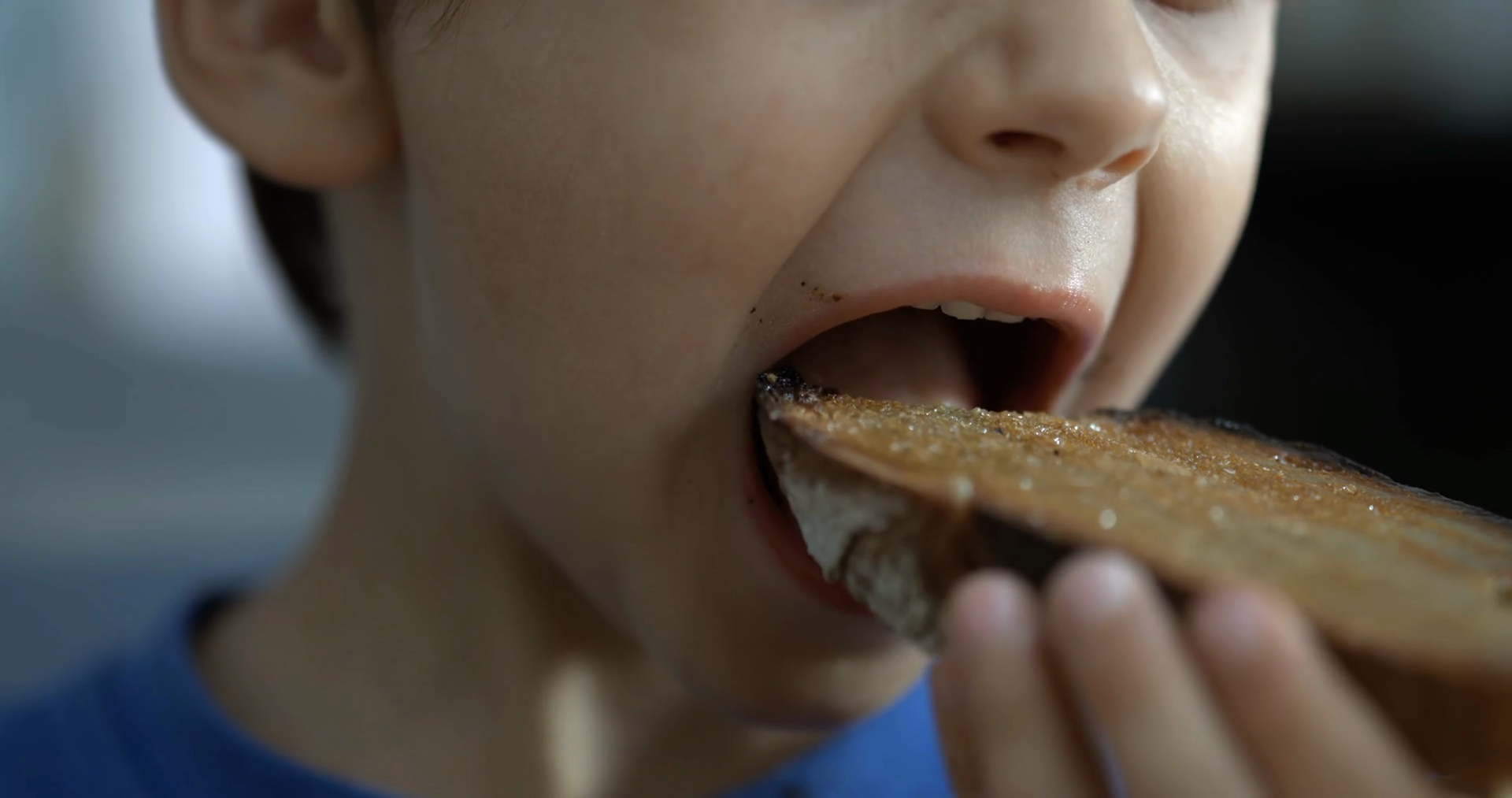 Little Boy Eating Toast Bread Close-up Child Stock Footage SBV ...
