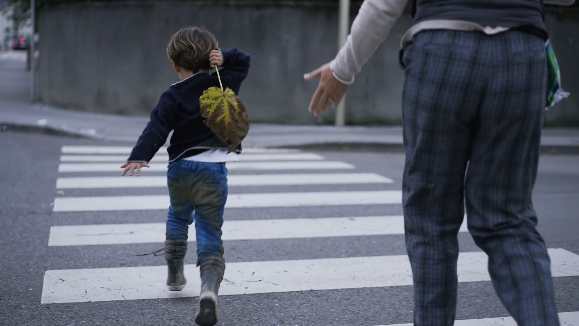 Child Crossing Street At Crosswalk With Stock Footage SBV-348864015 ...