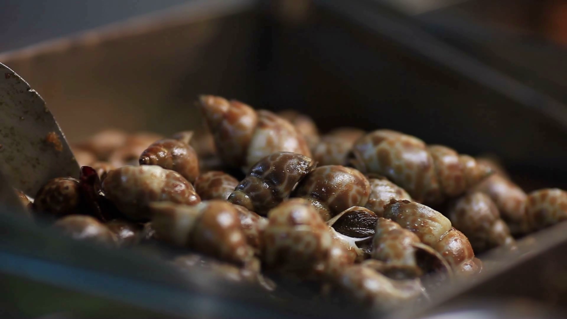 Chinese Shells Cooking Food Ingredient Stock Footage SBV-348436502 ...