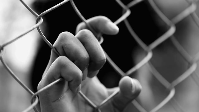 Enclosure Barrier Stock Footage: Royalty-Free Video Clips - Storyblocks