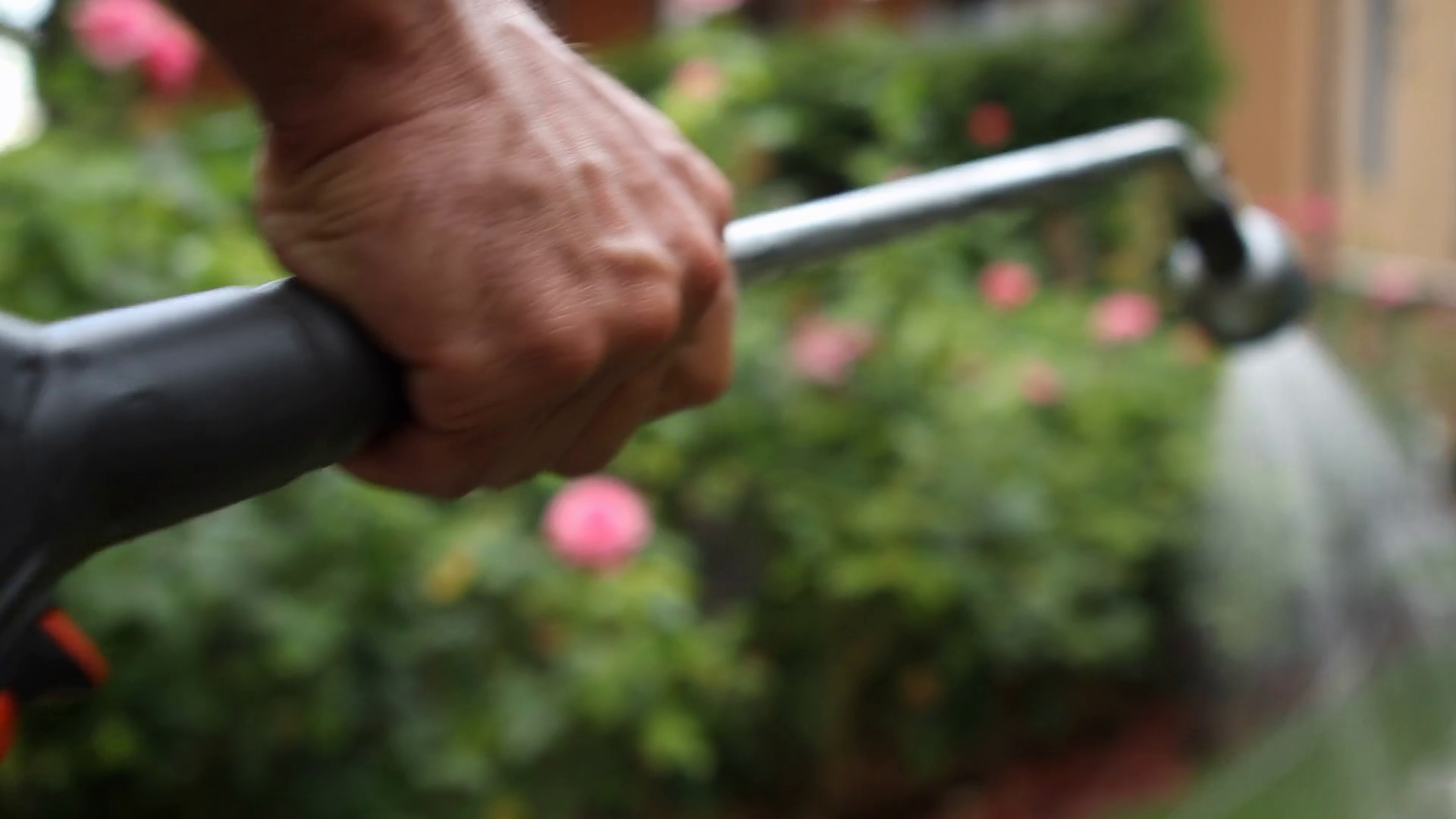 Close Up Person Watering Garden Man Spraying Stock Footage SBV ...