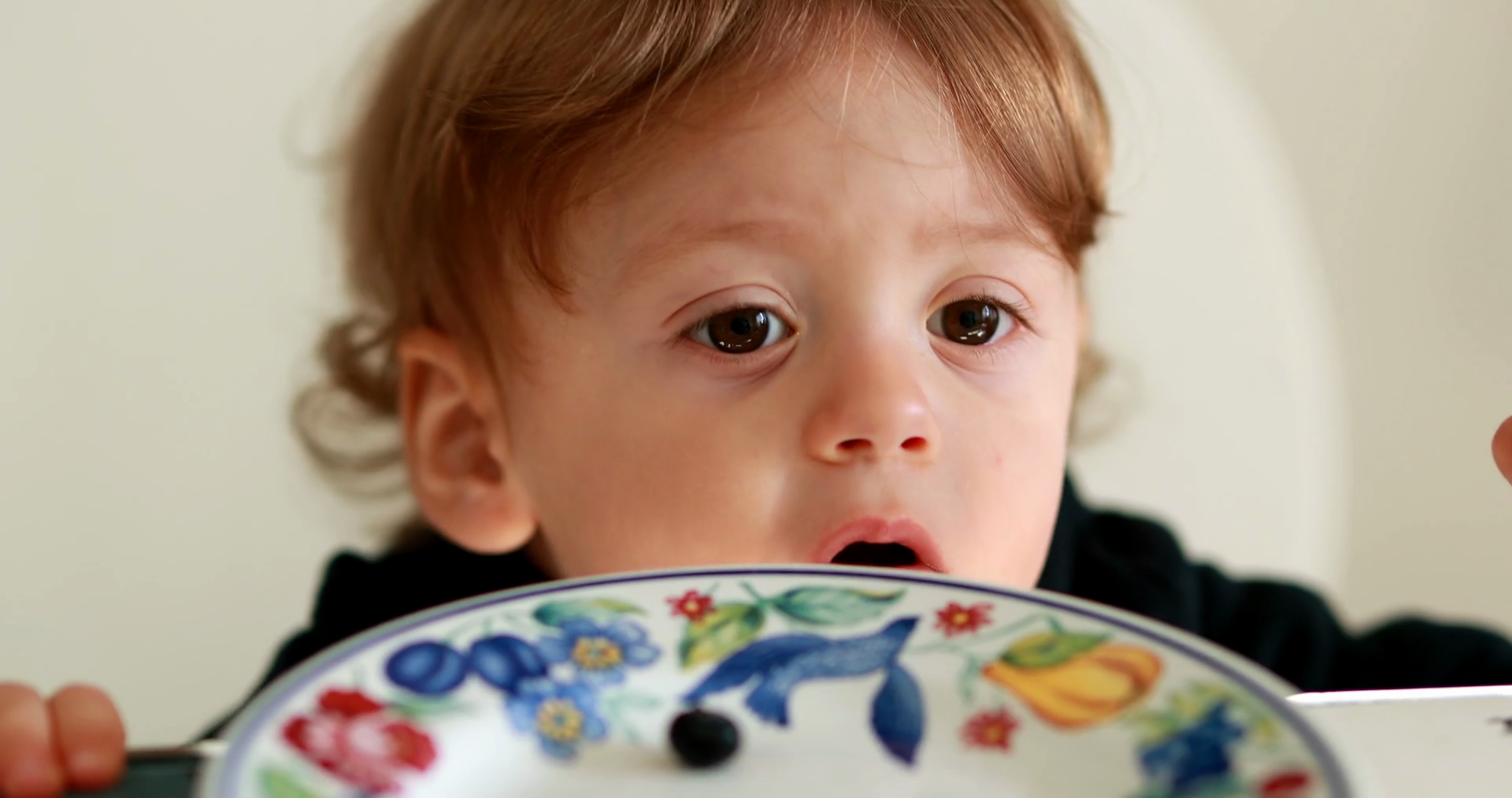 Baby Grabbing Blueberry From Plate Year Old Stock Footage SBV-348829683 ...
