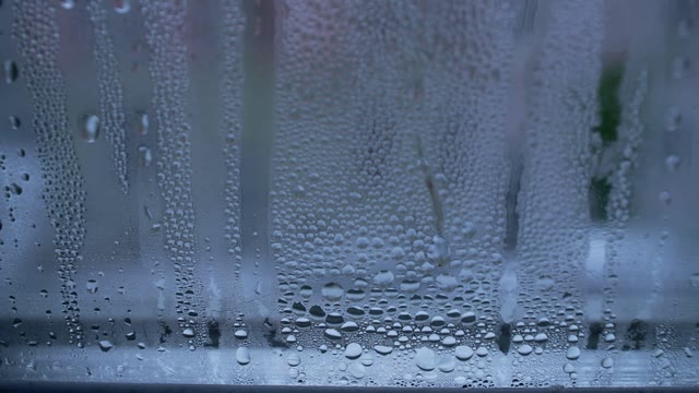 Frost Pattern Stock Footage: Royalty-Free Video Clips - Storyblocks