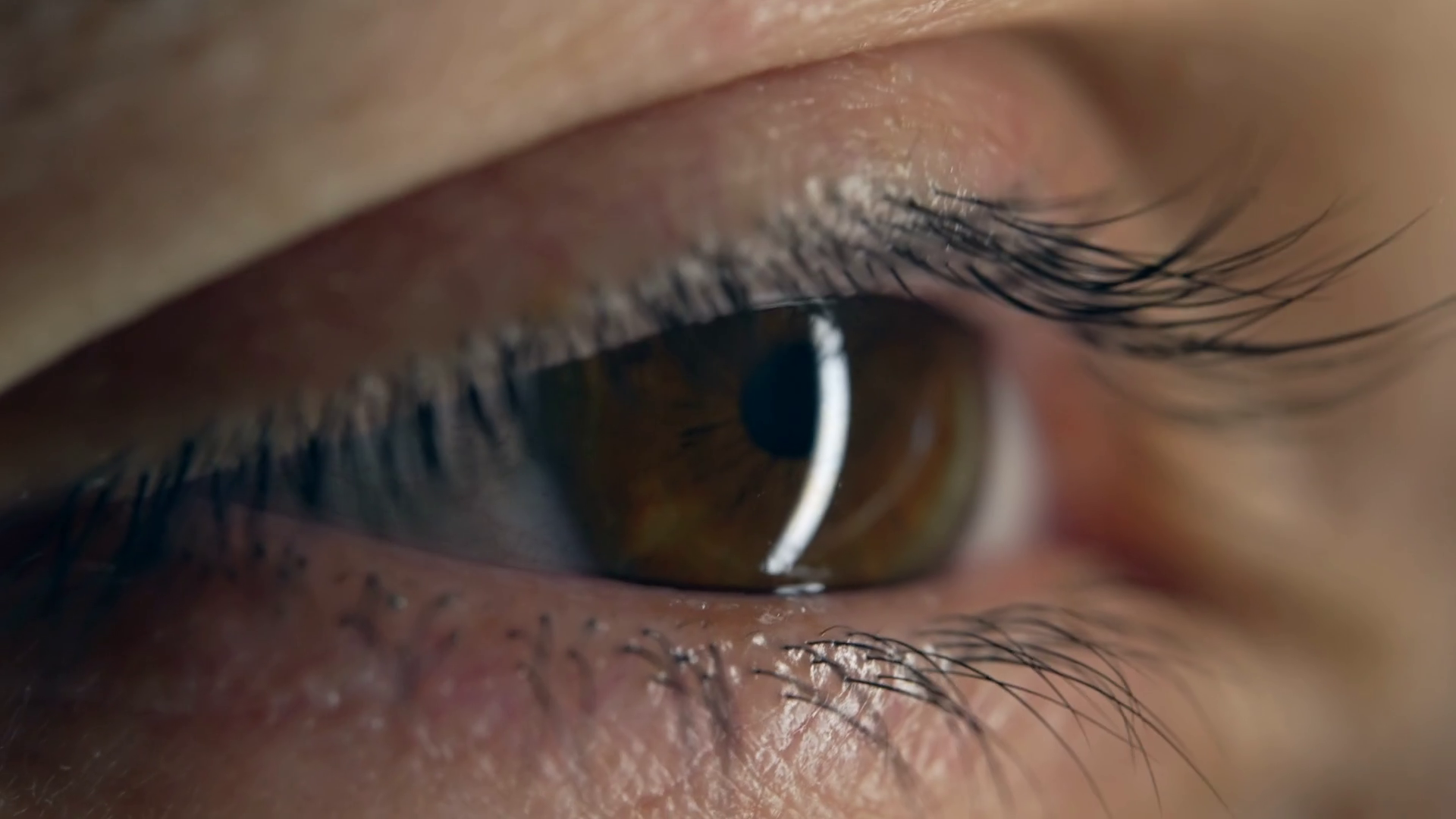 Extreme Macro Close Up Of Person's Eye Stock Footage SBV-348713701 ...