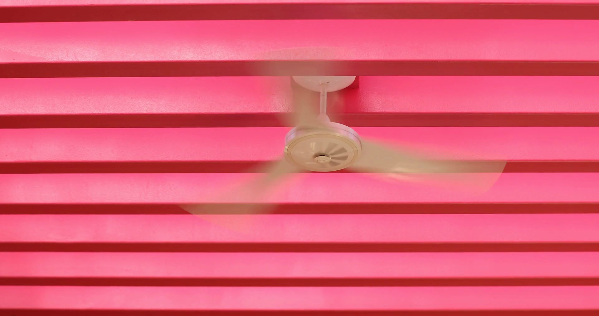 Fan Ventilator On Ceiling In Pink Colorful Stock Footage SBV-348609785 ...